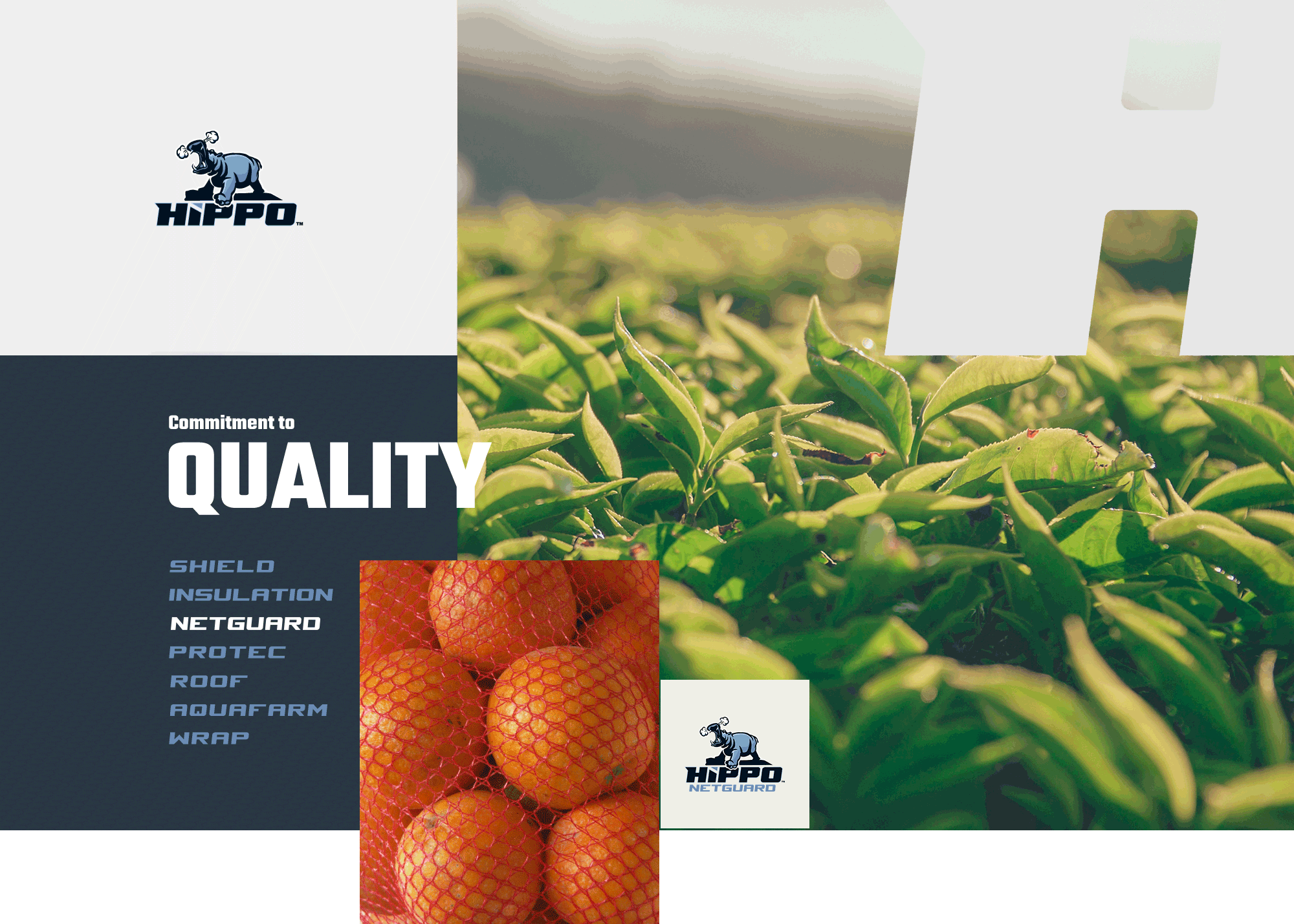 Packaging Solutions Company | Hippotechnotex, India