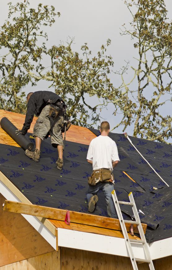 Hippo H-Edge Roof | Roofing Products, Edge Roof